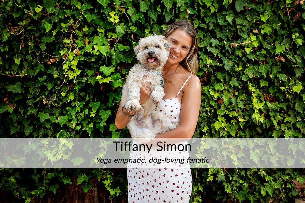 tiffany-simon-fun – Modern Currency
